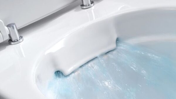 Brida . Il Wc è Meglio con Brida grondante o senza Brida